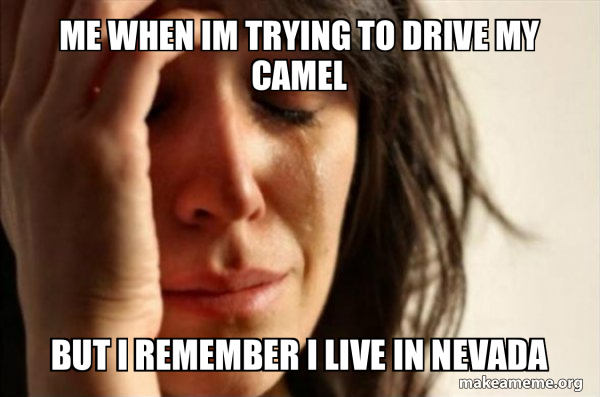 me when im trying to drive my camel but i remember i live in Nevada ...