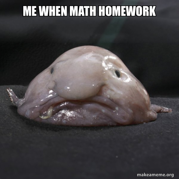 me when math homework - Blobfish Meme Generator