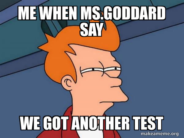 Me when Ms.Goddard say We got another test - Futurama Fry Meme Generator