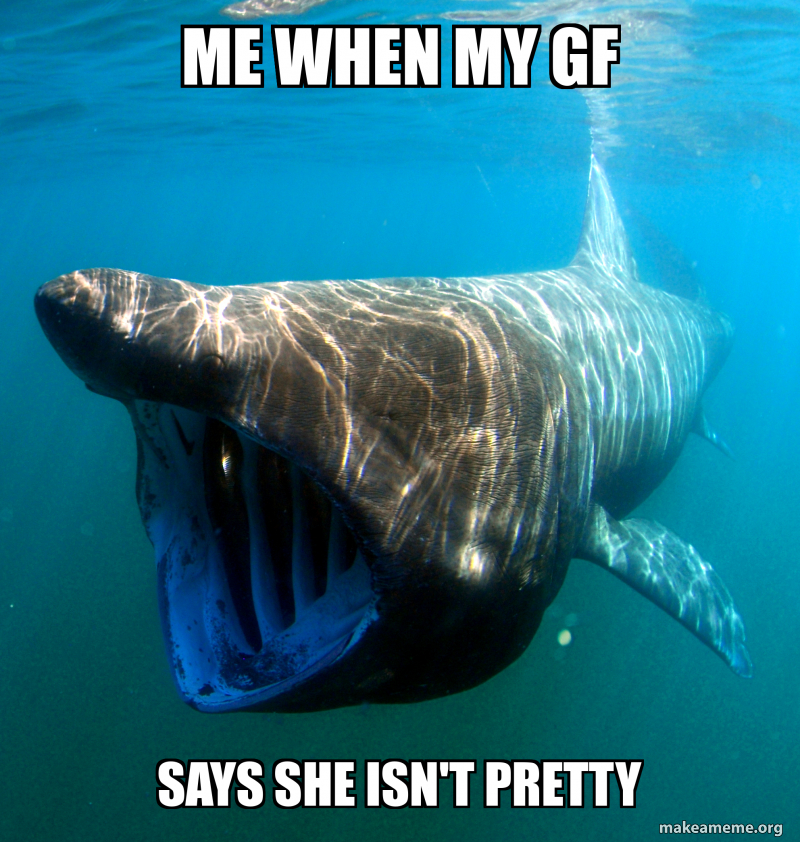 Me when my gf Says she isn't pretty Meme Generator