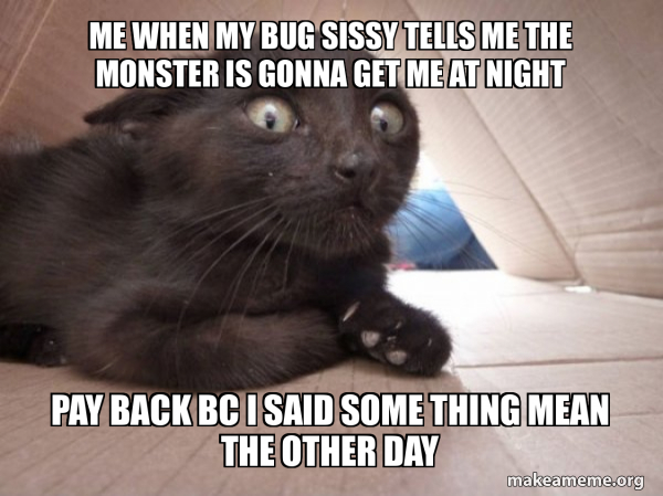 Me when my bug sissy tells me the monster is gonna get me at night Pay ...
