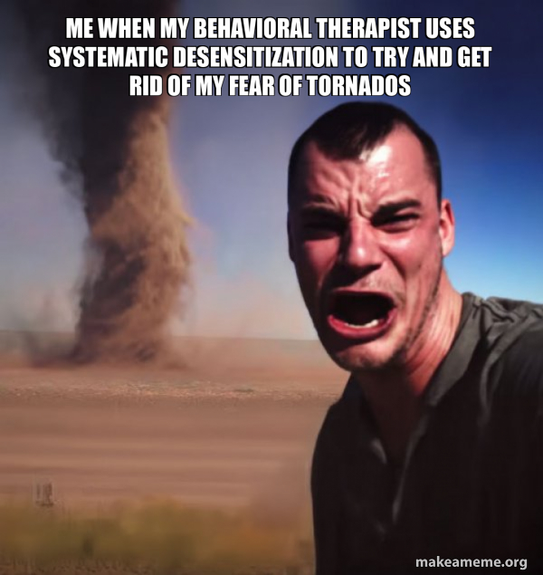 me when my behavioral therapist uses systematic desensitization to try ...