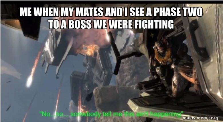 me when my mates and i see a phase two to a boss we were fighting Meme ...