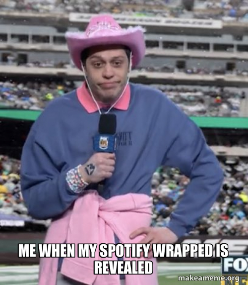 Me when my spotify wrapped is revealed Meme Generator