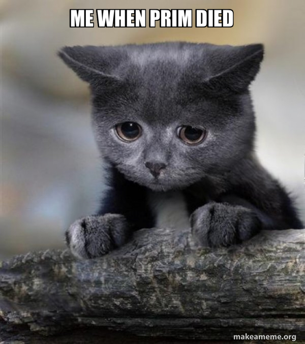 Me when prim died - Confession Cat Meme Generator