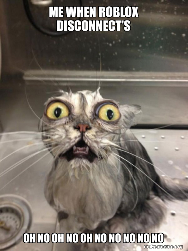 Me when roblox disconnect’s Oh no oh no oh no no no no no - Cat bath ...