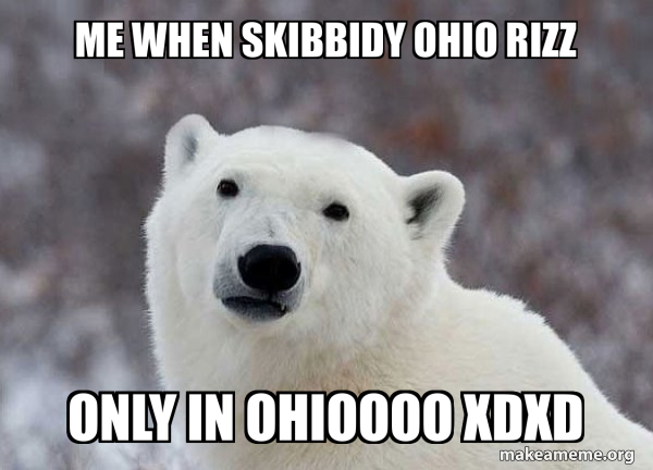 Me when skibbidy ohio rizz Only in ohioooo XDXD - Popular Opinion Polar ...