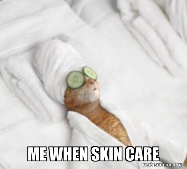 Me when skin care - Pampered Cat Meme Meme Generator