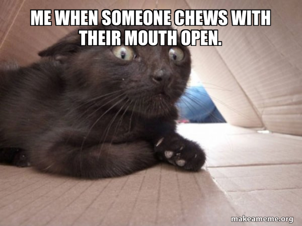 Me when someone chews with their mouth open. - Schitzo Cat Meme Generator
