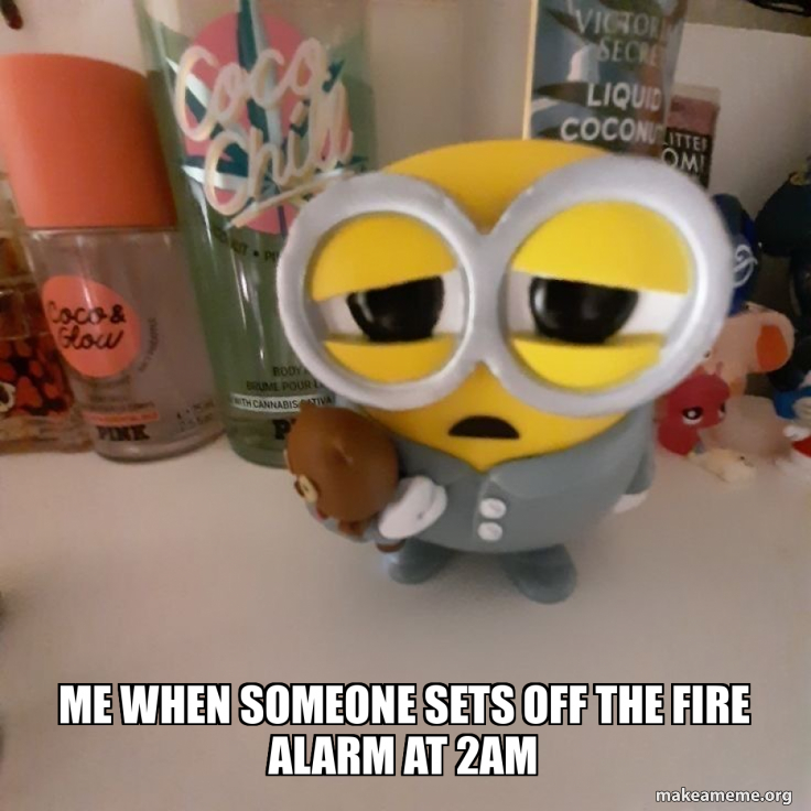 me when someone sets off the fire alarm at 2Am Meme Generator