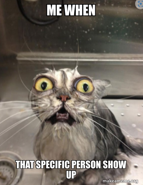 me when that specific person show up Meme Generator