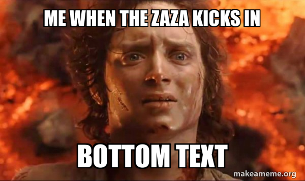 Me When The Zaza Kicks In Bottom Text Frodo It s Over It s Done 