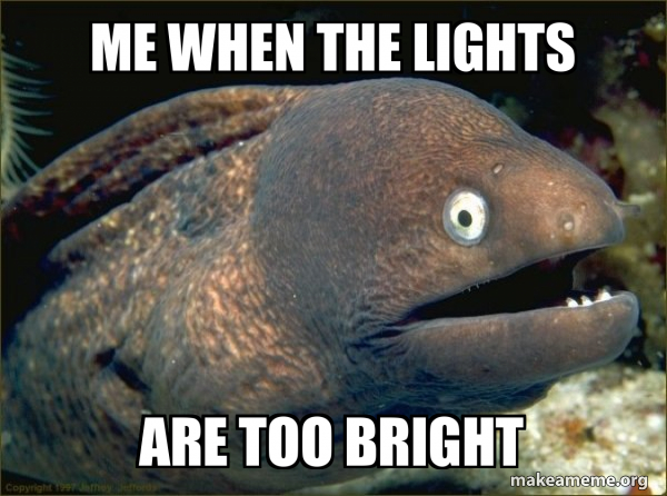 me when the lights are too bright - Bad Joke Eel Meme Generator