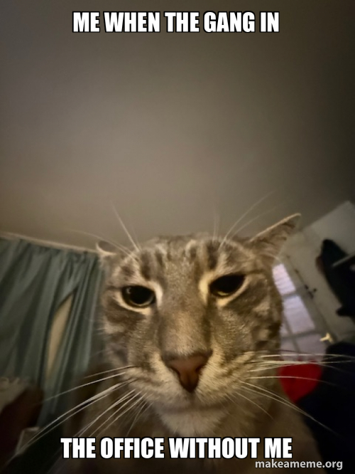 me when the gang in the office without me Meme Generator
