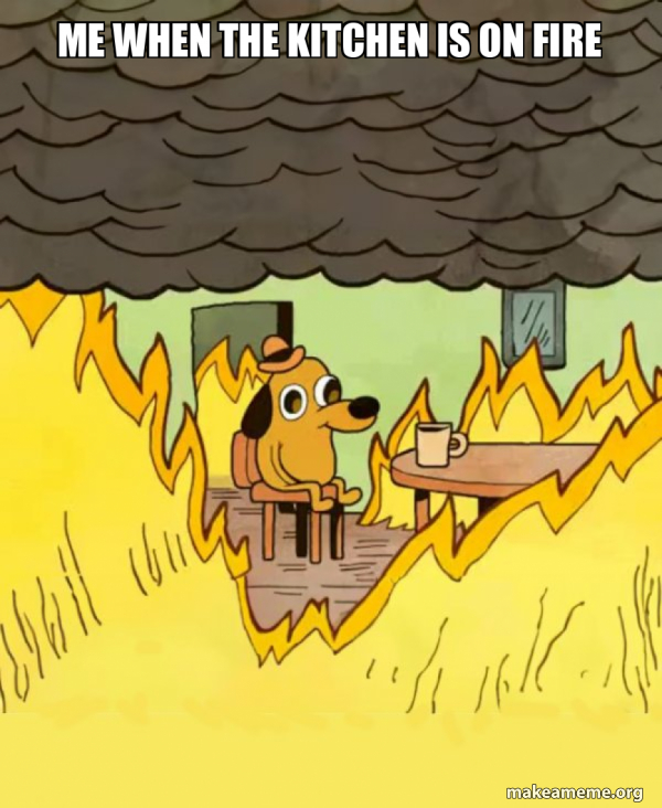 ME WHEN THE KITCHEN IS ON FIRE - This Is Fine Meme Generator