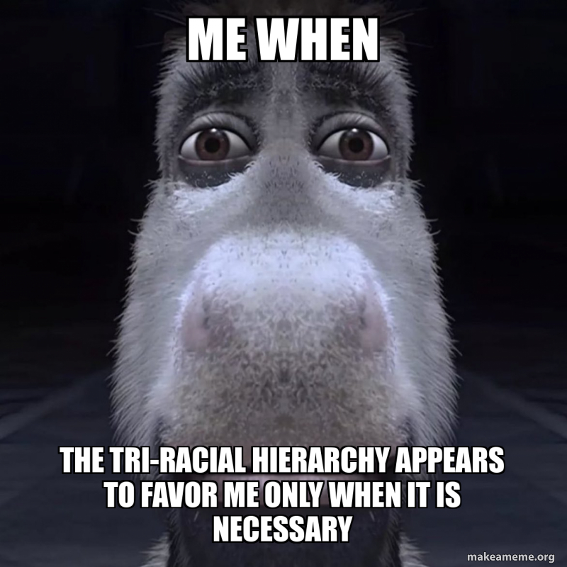 me when The TRI-RACial hierarchy appears to favor me only when it is ...