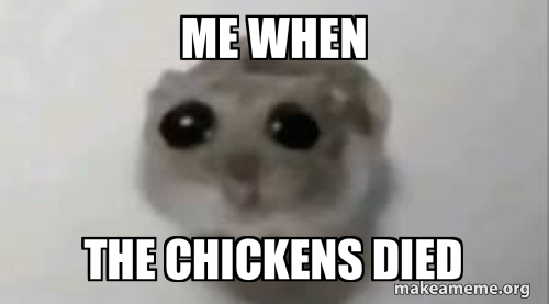 Me when the chickens died Meme Generator