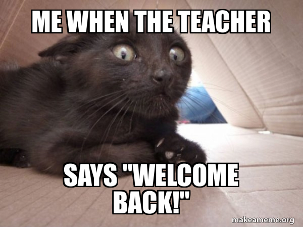 Me when the teacher says "Welcome back!" - Schitzo Cat Meme Generator