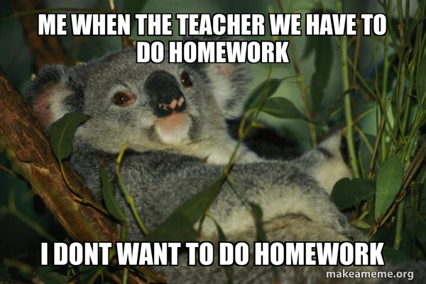 me when the teacher we have to do homework i dont want to do homework ...