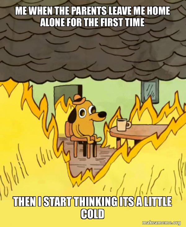 Me when the parents leave me home alone for the first time Then i start ...