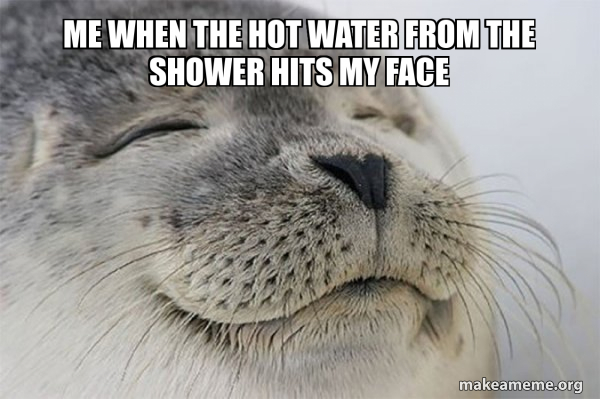 Me when the hot water from the shower hits my face - Satisfied Seal ...