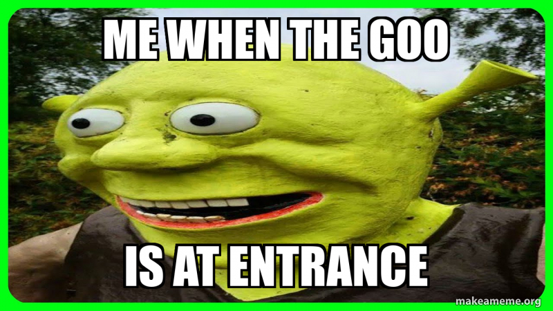 Me when the goo Is at entrance Meme Generator