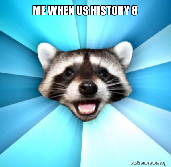 me when us history 8 - Lame Pun Coon | Make a Meme