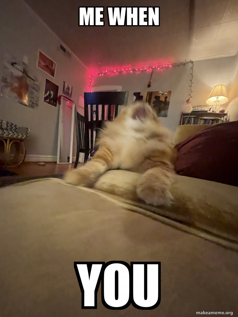 Me when You Meme Generator