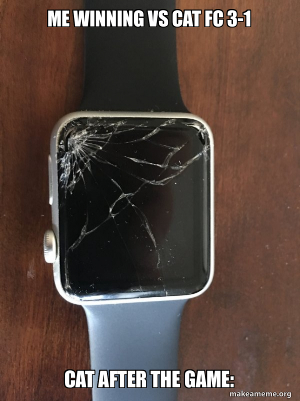 me winning vs cat FC 3-1 cat after the game: - Broken Apple Watch Meme ...