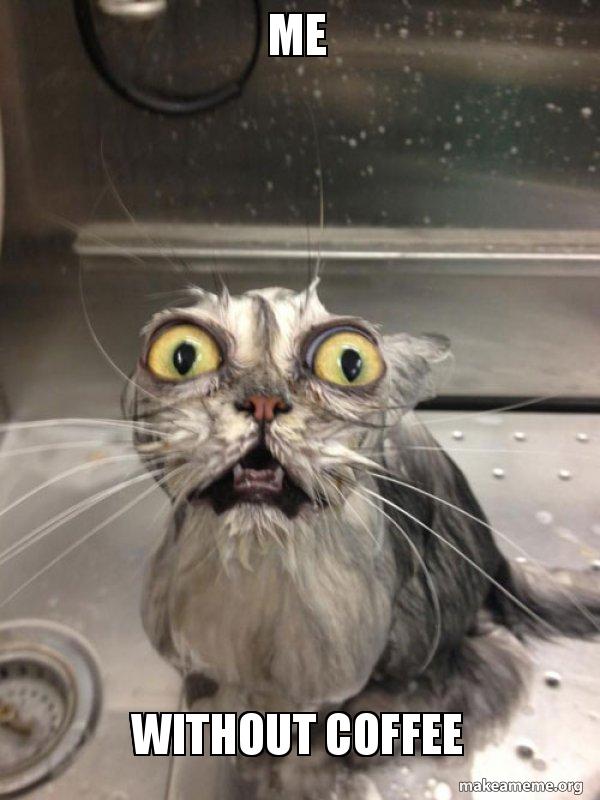 ME WITHOUT COFFEE - Cat bath Meme Generator