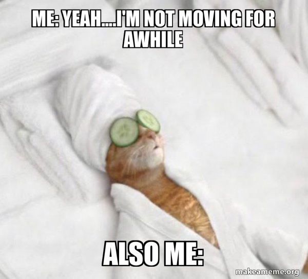 Me: Yeah....I'm not moving for awhile Also me: - Pampered Cat Meme Meme ...