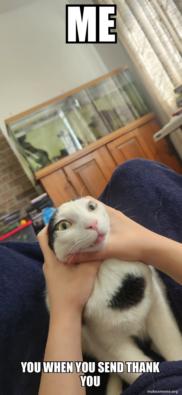 Me You when you send thank you Meme Generator