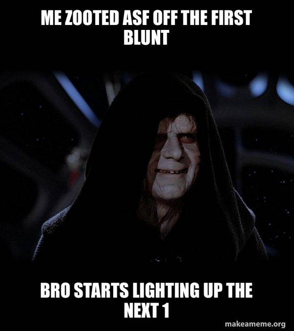 me zooted asf off the first blunt bro starts lighting up the next 1 ...