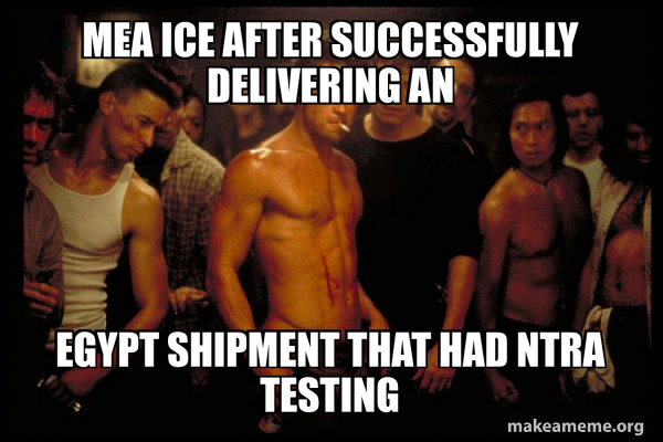 MEA ICE after successfully delivering an Egypt shipment that had NTRA ...