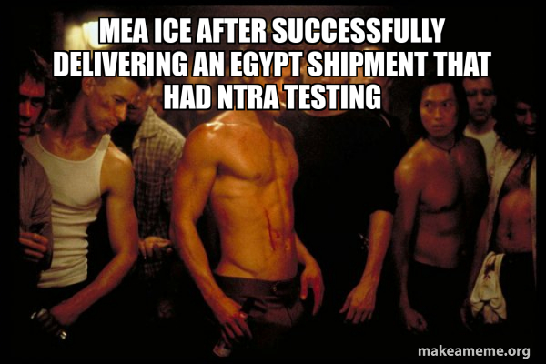 MEA ICE after successfully delivering an Egypt shipment that had NTRA ...