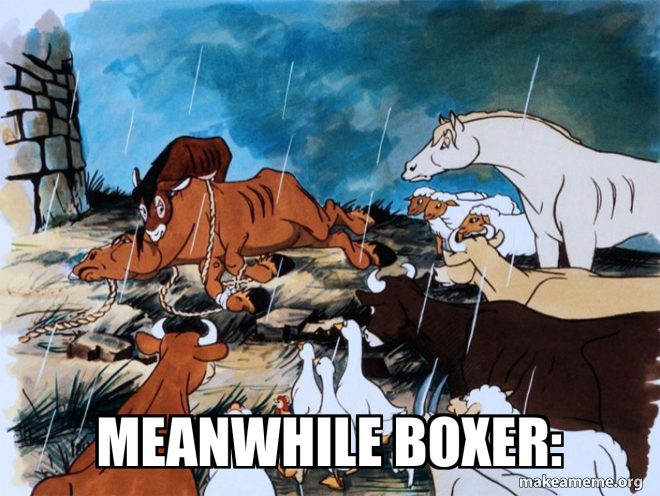 Meanwhile boxer: Meme Generator