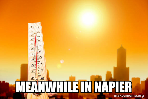 Meanwhile in Napier Meme Generator
