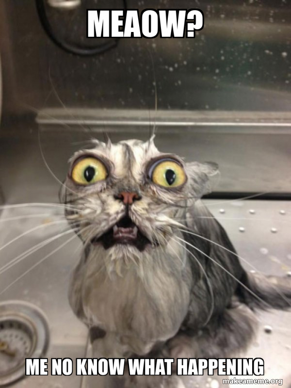 meaow? me no know what happening - Cat bath Meme Generator