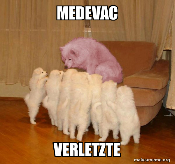 Medevac Verletzte - Malicious Storytelling Dog Meme Generator