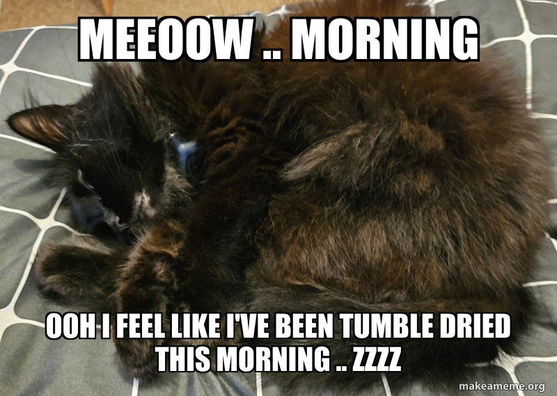 Meeoow .. morning Ooh I feel like I've been tumble dried this morning ...