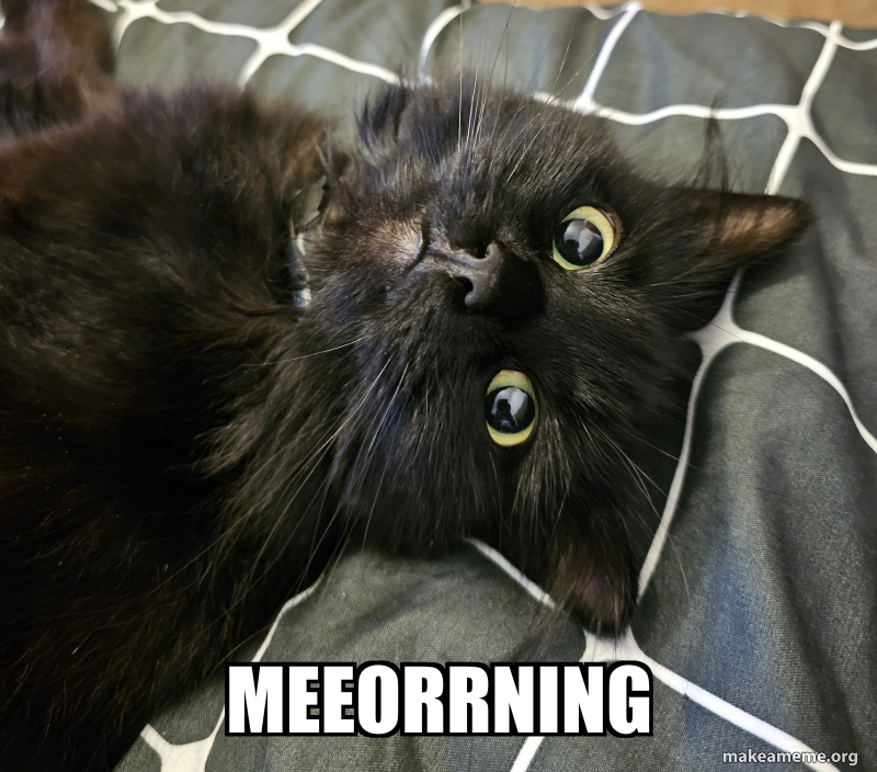 Meeorrning Meme Generator