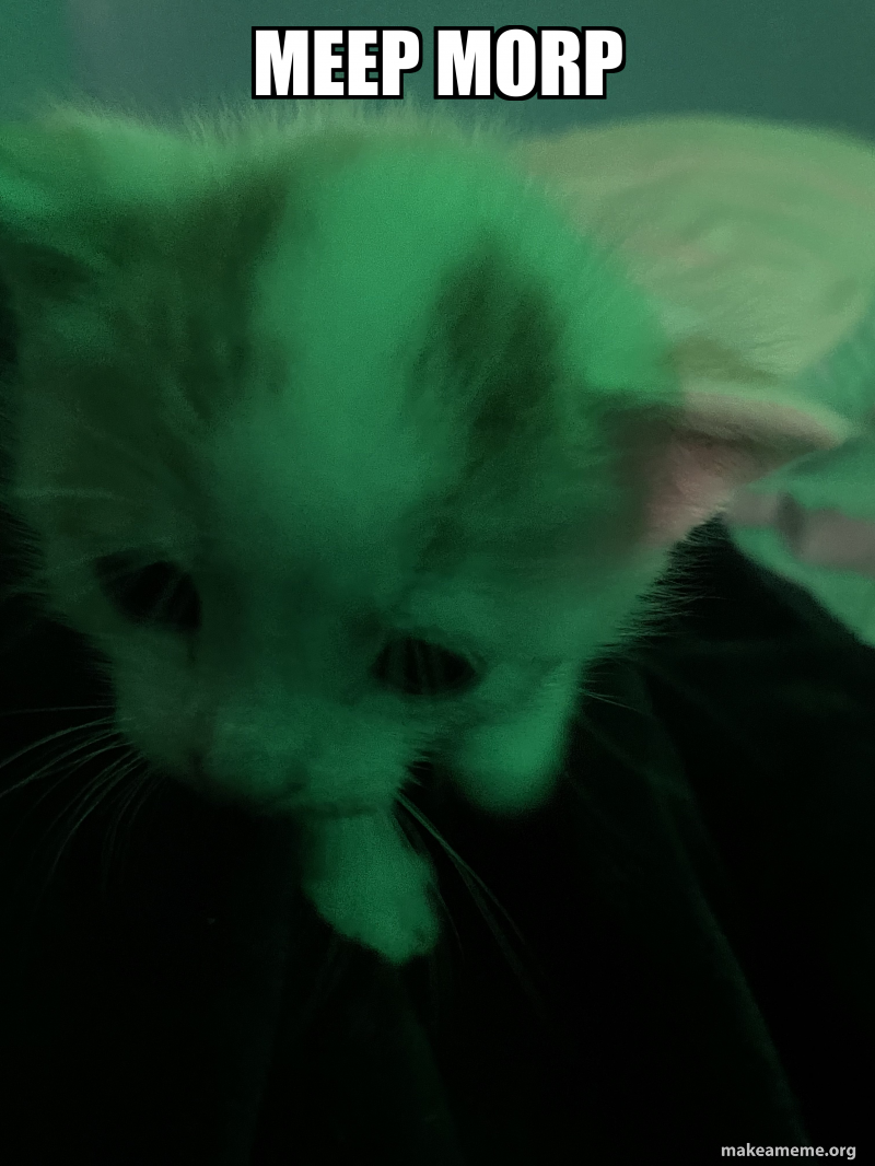 meep morp Meme Generator