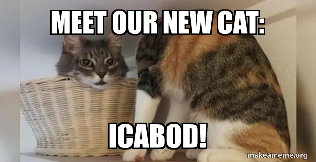 meet our new cat: icabod! Meme Generator