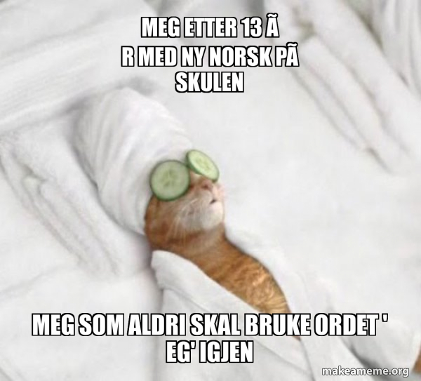 meg etter 13 år med ny norsk på skulen meg som aldri skal bruke ordet ...