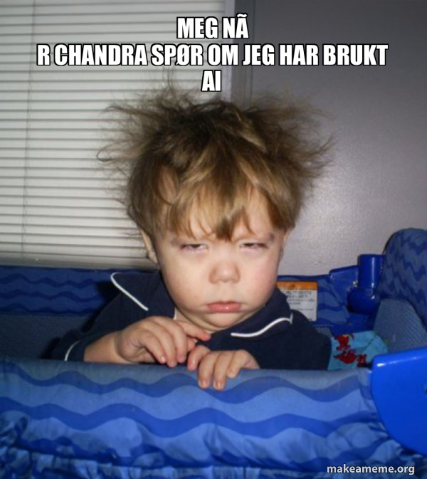 Meg når Chandra spør om jeg har brukt AI - Monday Mornings Meme Generator