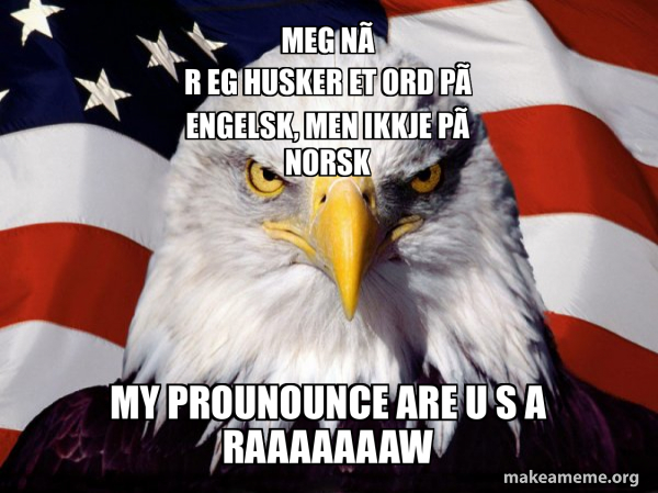 meg når eg husker et ord på engelsk, men ikkje på norsk My prounounce ...