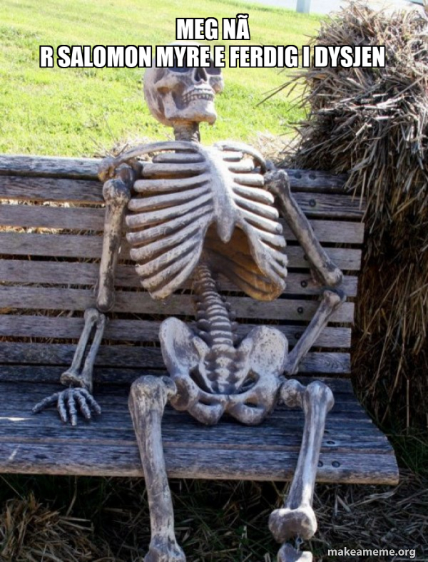 Meg når Salomon myre e ferdig i dysjen - Waiting Skeleton Meme Generator