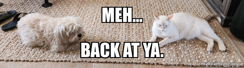 Meh... Back at ya. Meme Generator