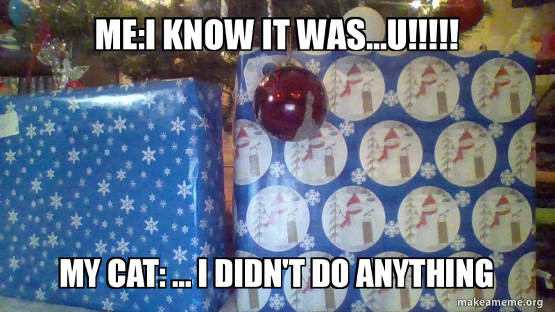Me:I Know it was...U!!!!! my cat: ... I didn't do anything - my cat ...