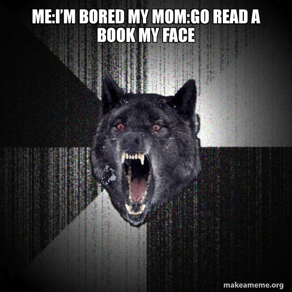 Me:Iâ€™m bored My mom:go read a book My face - Insanity Wolf Meme Generator